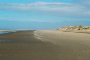 Sefton Ranger Service